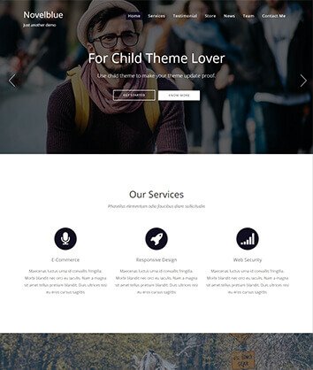 Premium WordPress Themes by ThemeHunk