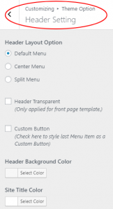 NovelLite Theme - Themehunk WordPress Responsive Theme