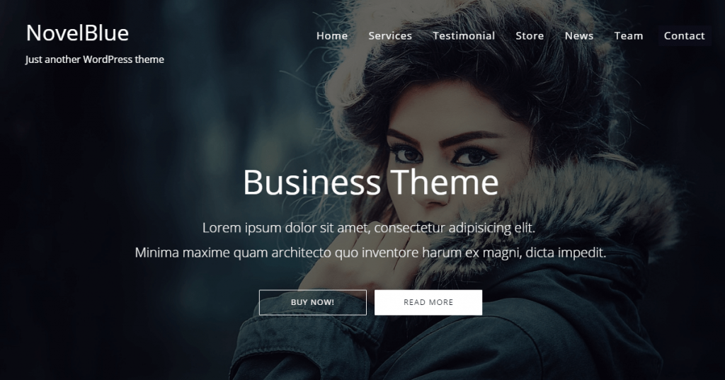 Novelblue-one-page-wordpress-theme - ThemeHunk WordPress themes