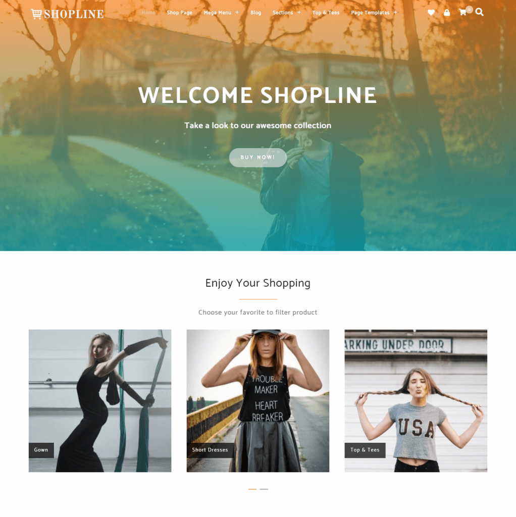 Design Unique E-commerce Websites Using Shopline Pro Theme