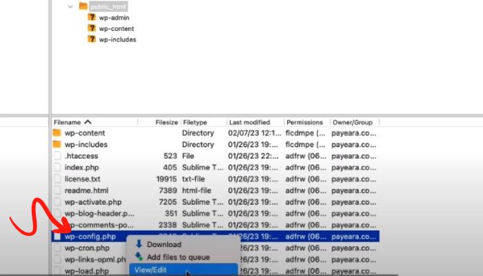 What Is The Root Directory In WordPress? And How To Find It 2024