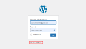 How To Fix WordPress Login Error At Wp-admin In 2025